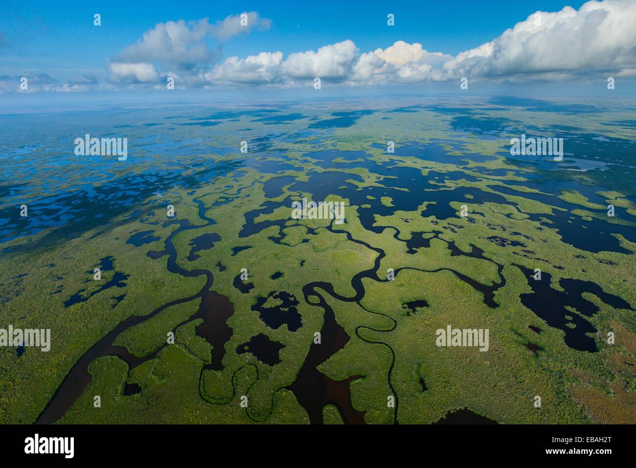 Aerial Image Of Everglades High Resolution Stock Photography and Images ...