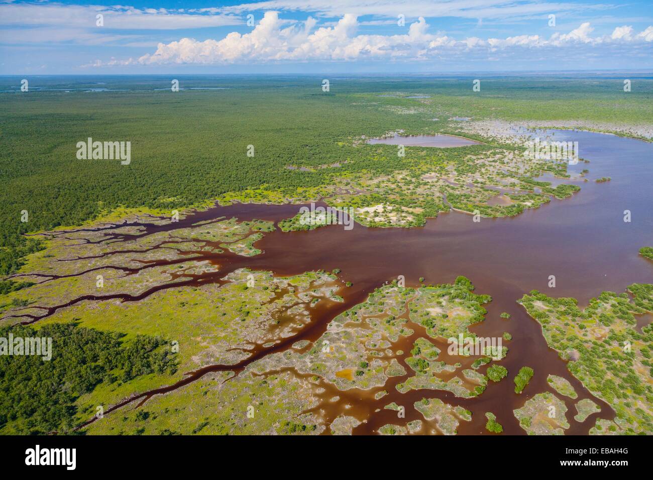 Florida everglades river aerial hi-res stock photography and images - Alamy