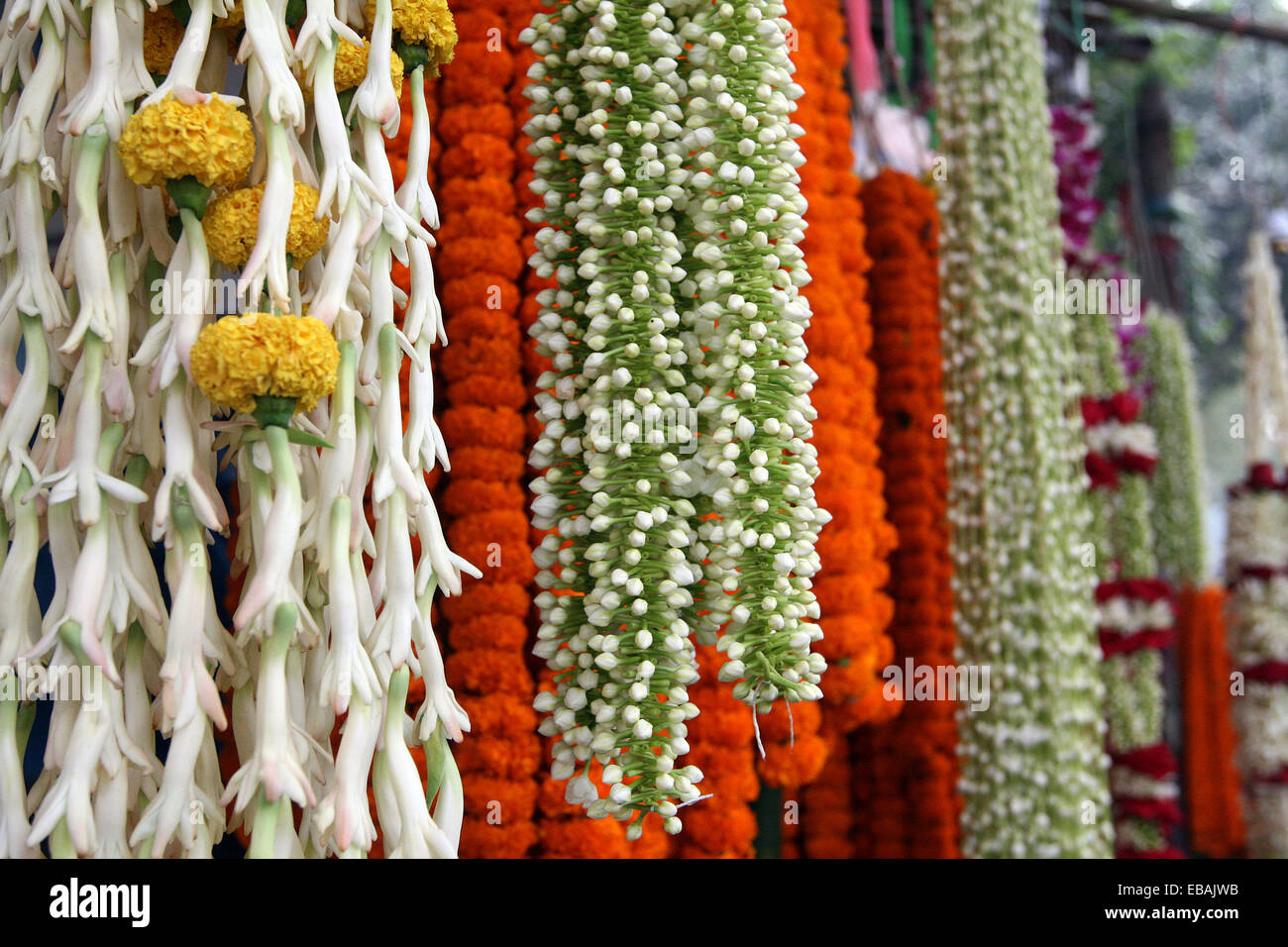 Colorful flower in dhaka Stock Photo - Alamy