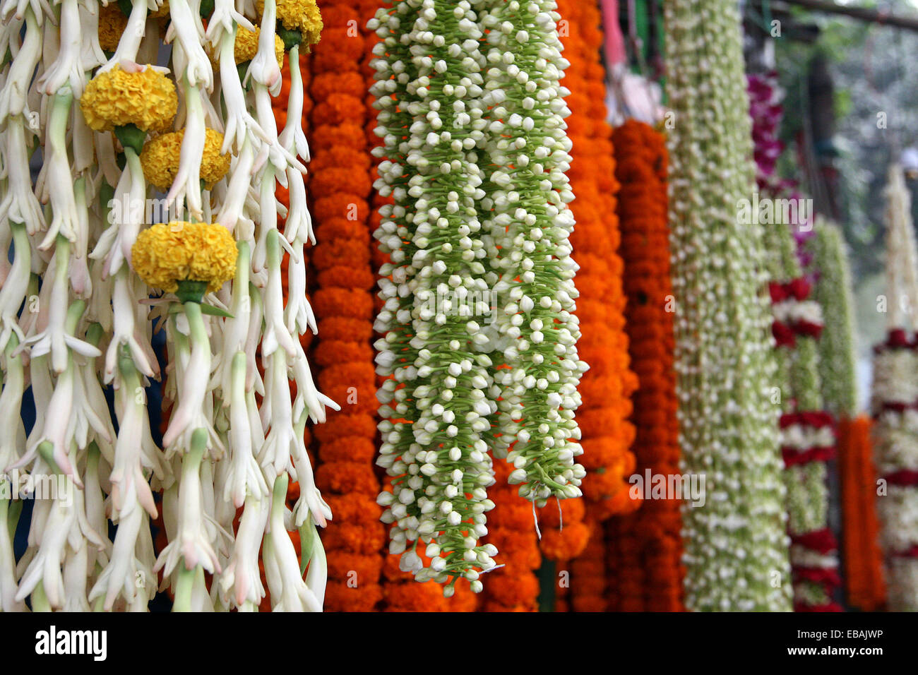 Colorful flower in dhaka Stock Photo - Alamy