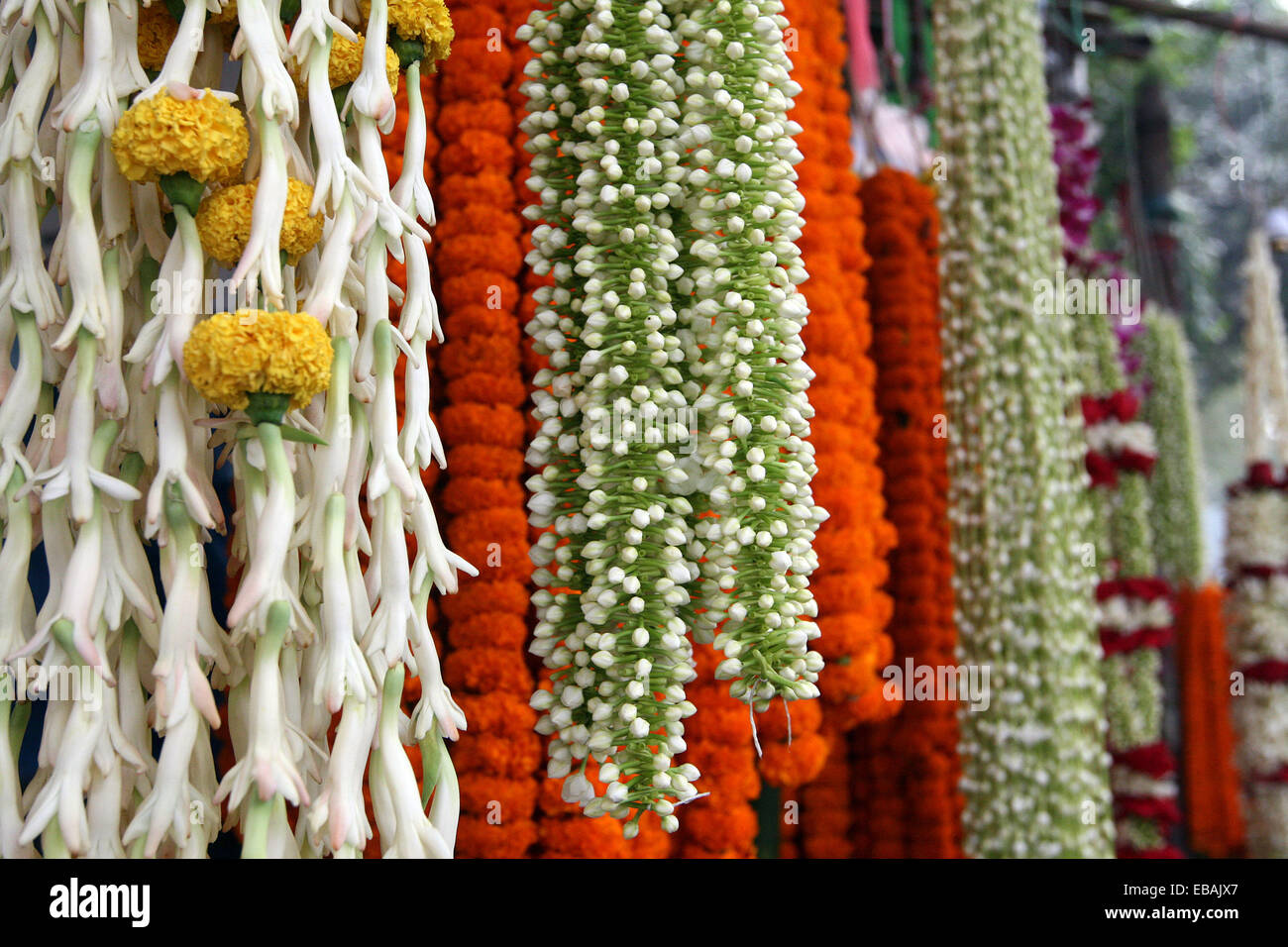 Colorful flower in dhaka Stock Photo - Alamy