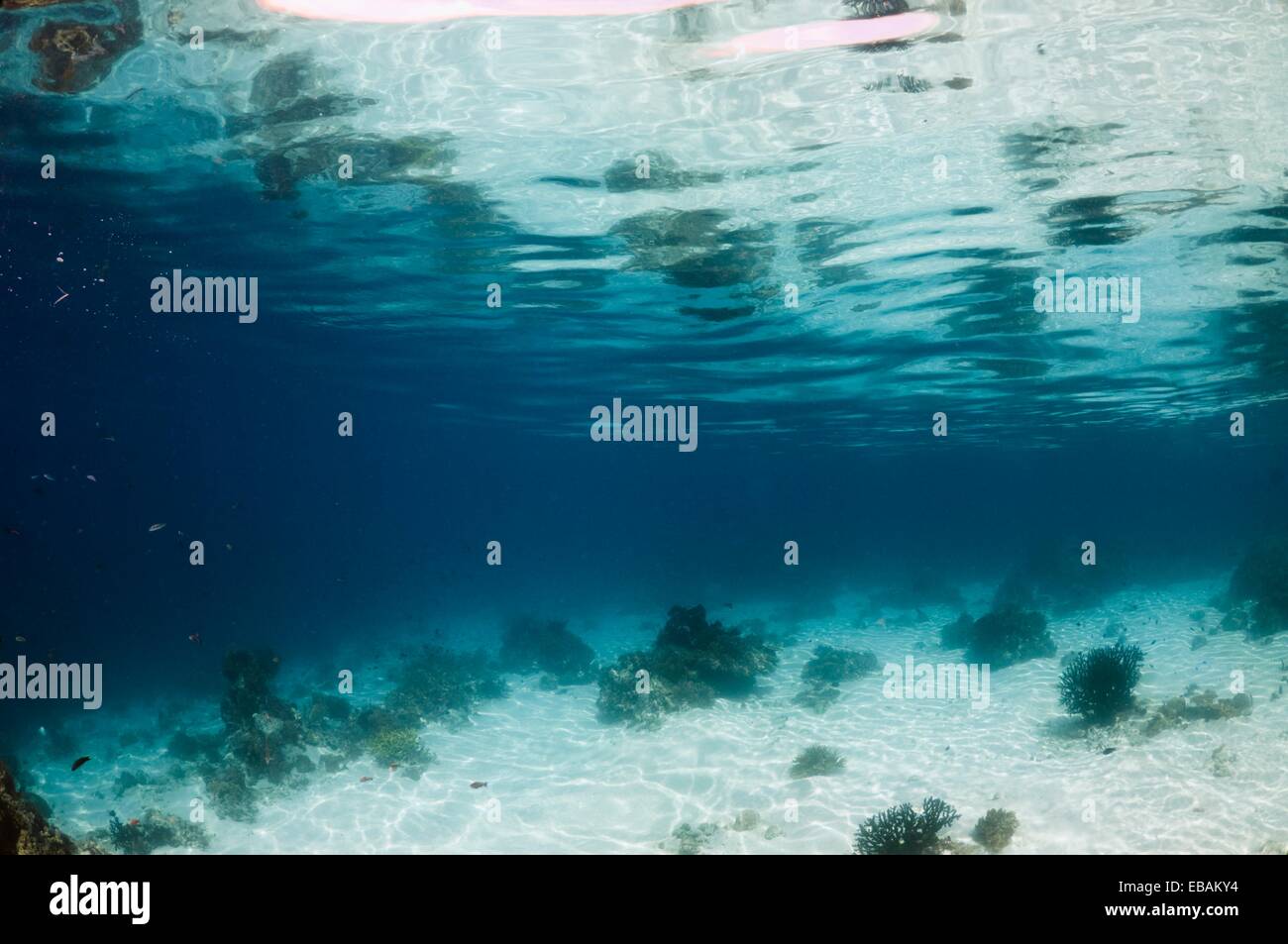 Submerged surface hi-res stock photography and images - Alamy
