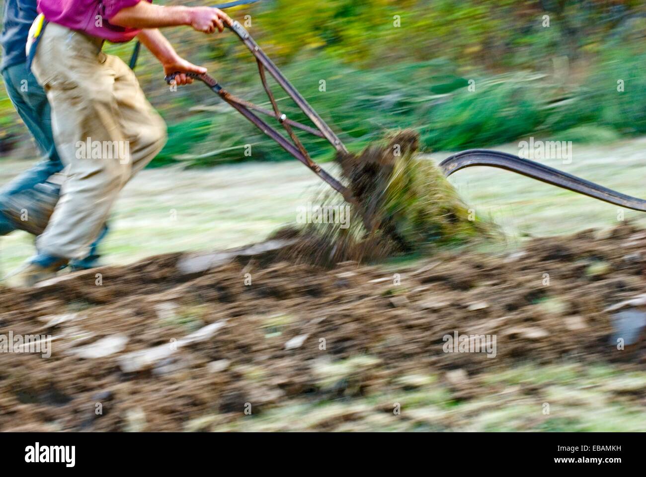 Hauling plough hi-res stock photography and images - Alamy