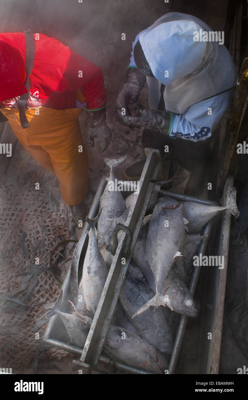 Fish Collar High Resolution Stock Photography and Images - Alamy