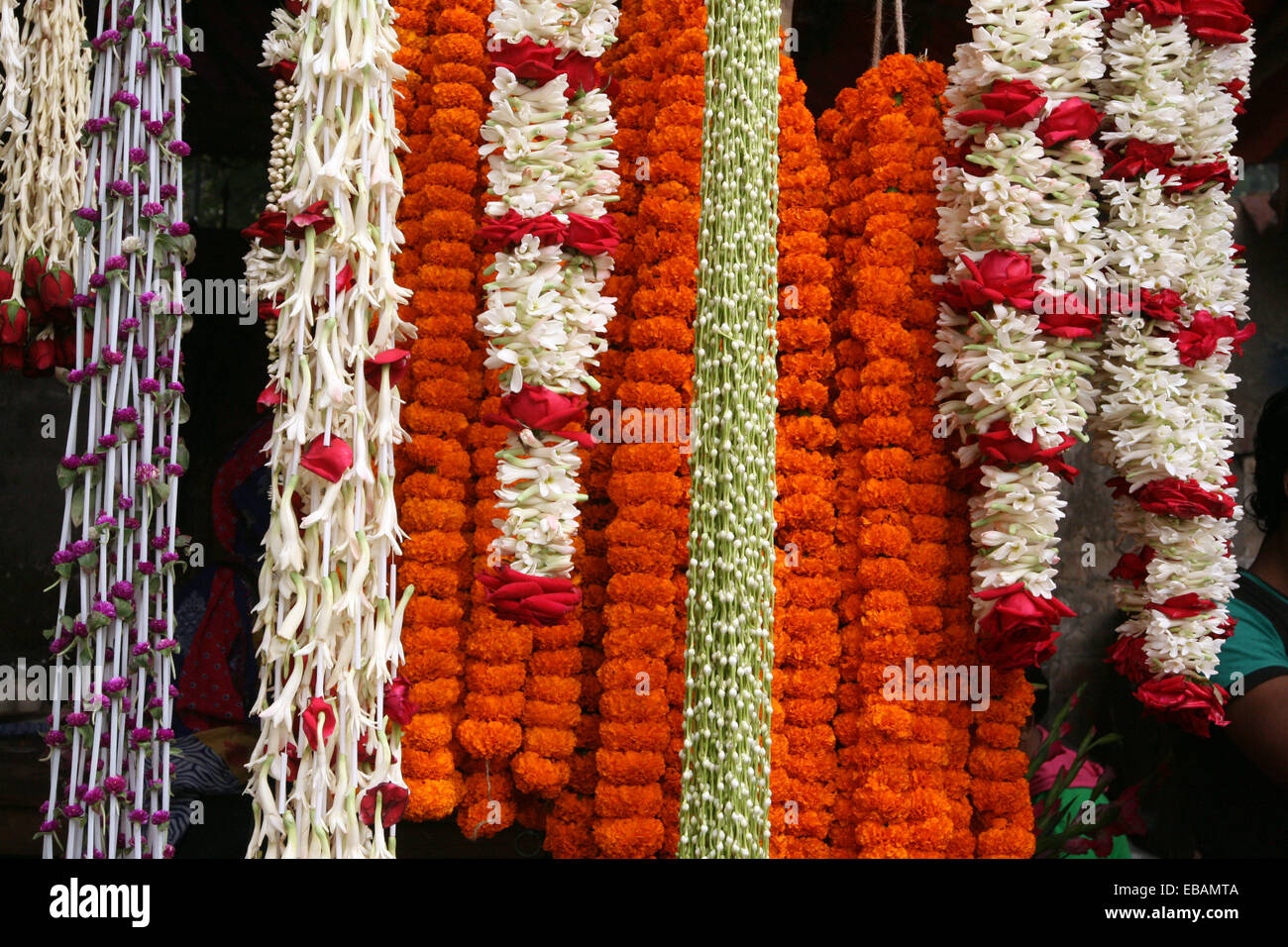 Colorful flower in dhaka Stock Photo - Alamy