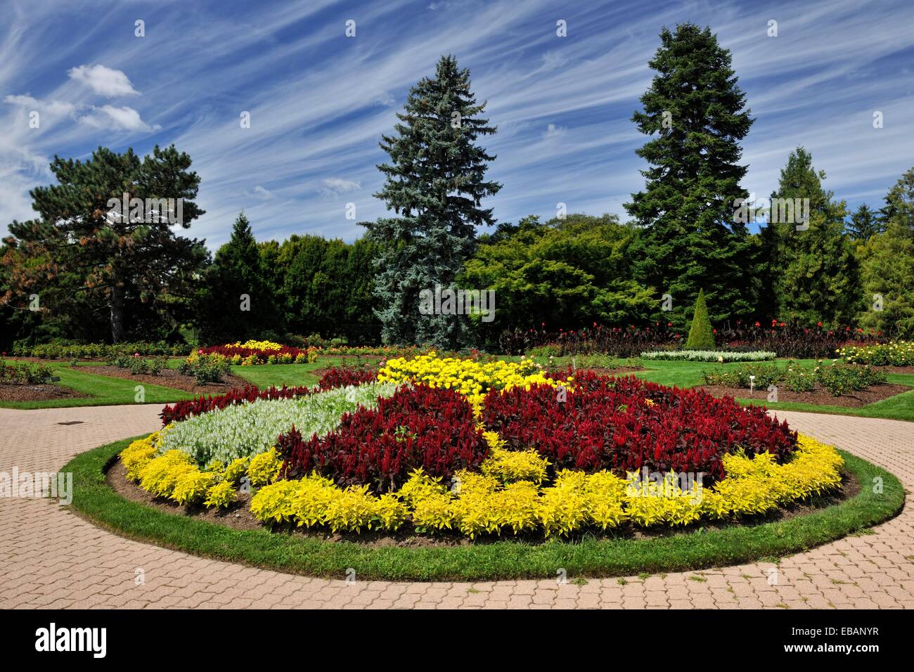 Flamboyant flower display hi-res stock photography and images - Alamy