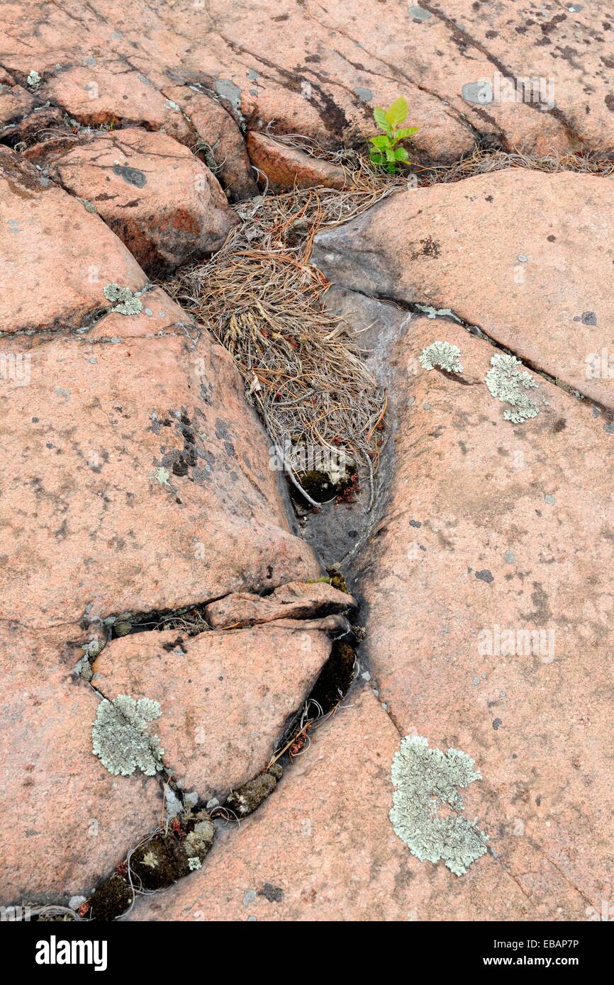 Pre cambrian granite outcrops hi-res stock photography and images - Alamy