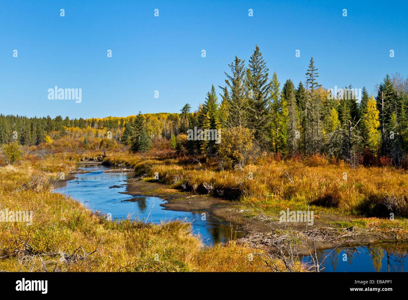 Albert marsh hi-res stock photography and images - Alamy