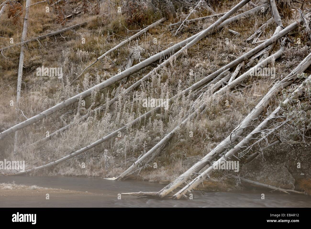 Beryl spring yellowstone hi-res stock photography and images - Alamy