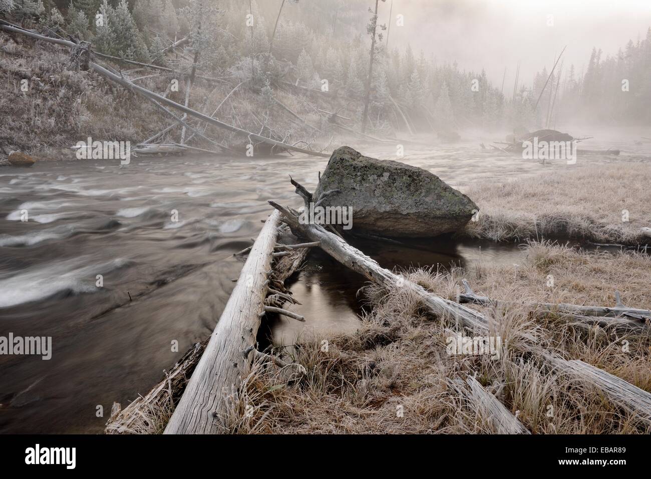 Beryl spring yellowstone hi-res stock photography and images - Alamy