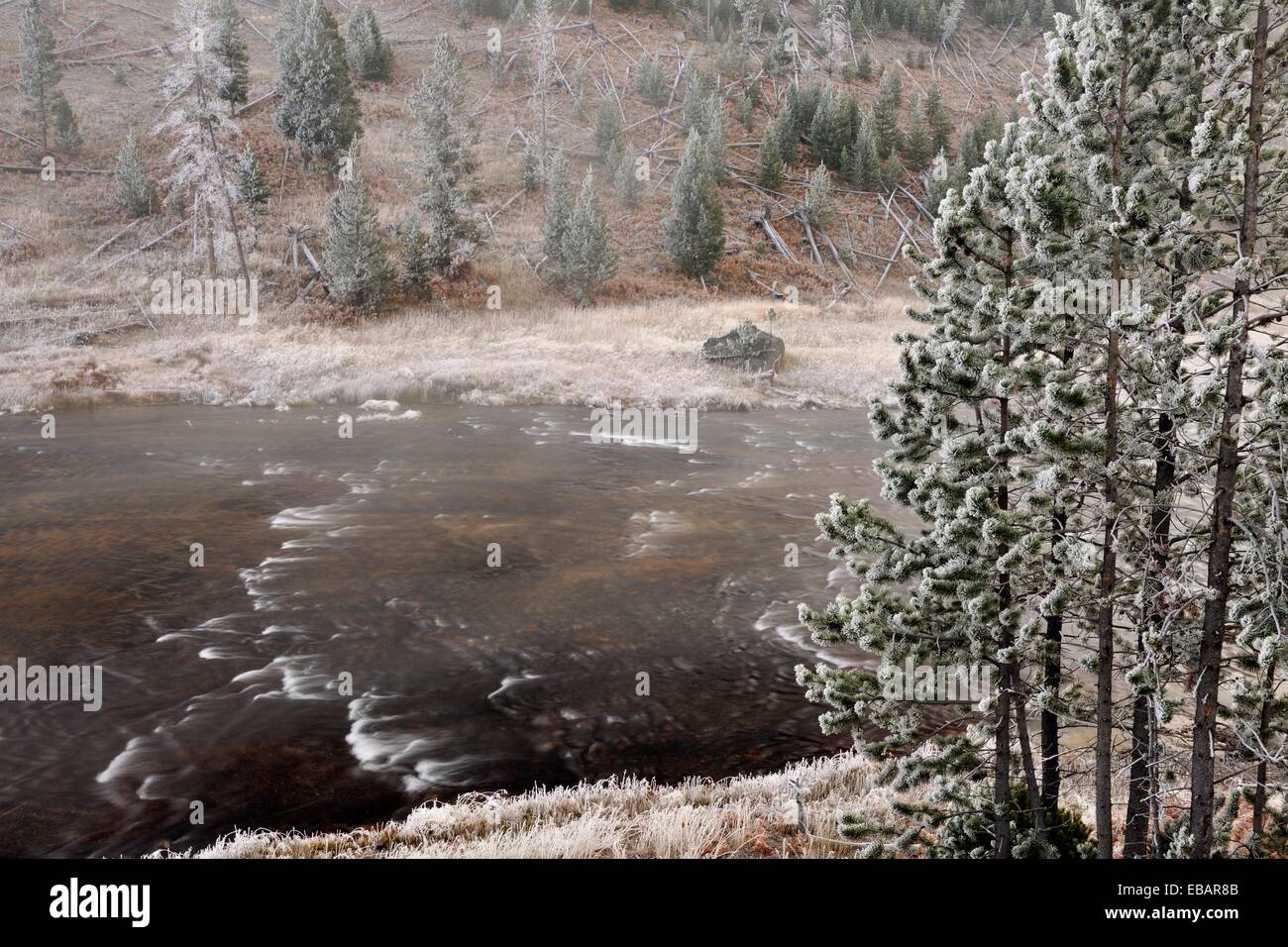 Beryl spring yellowstone hi-res stock photography and images - Alamy