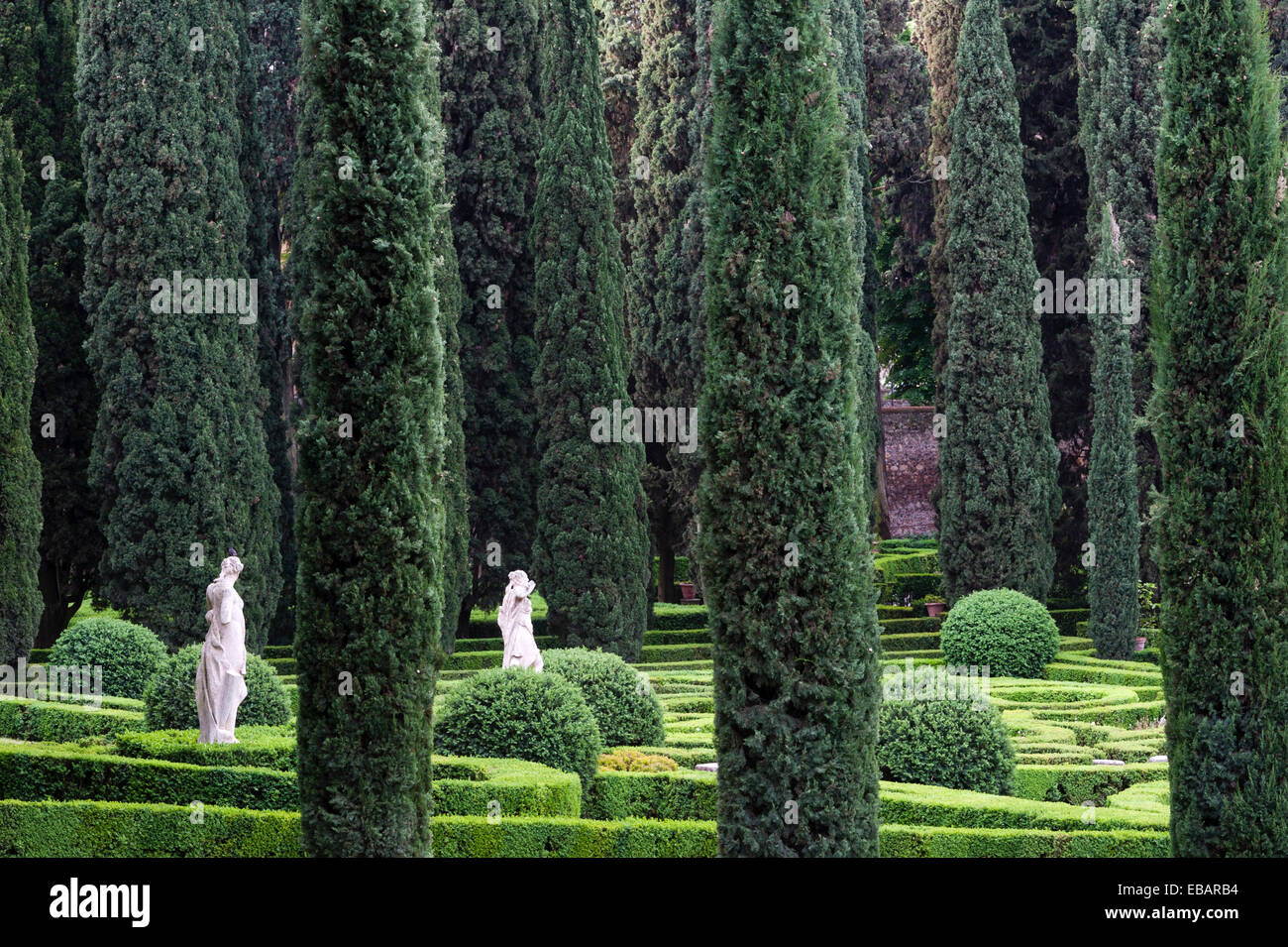 In the formal Renaissance gardens of the Giardino Giusti, Verona, Italy ...