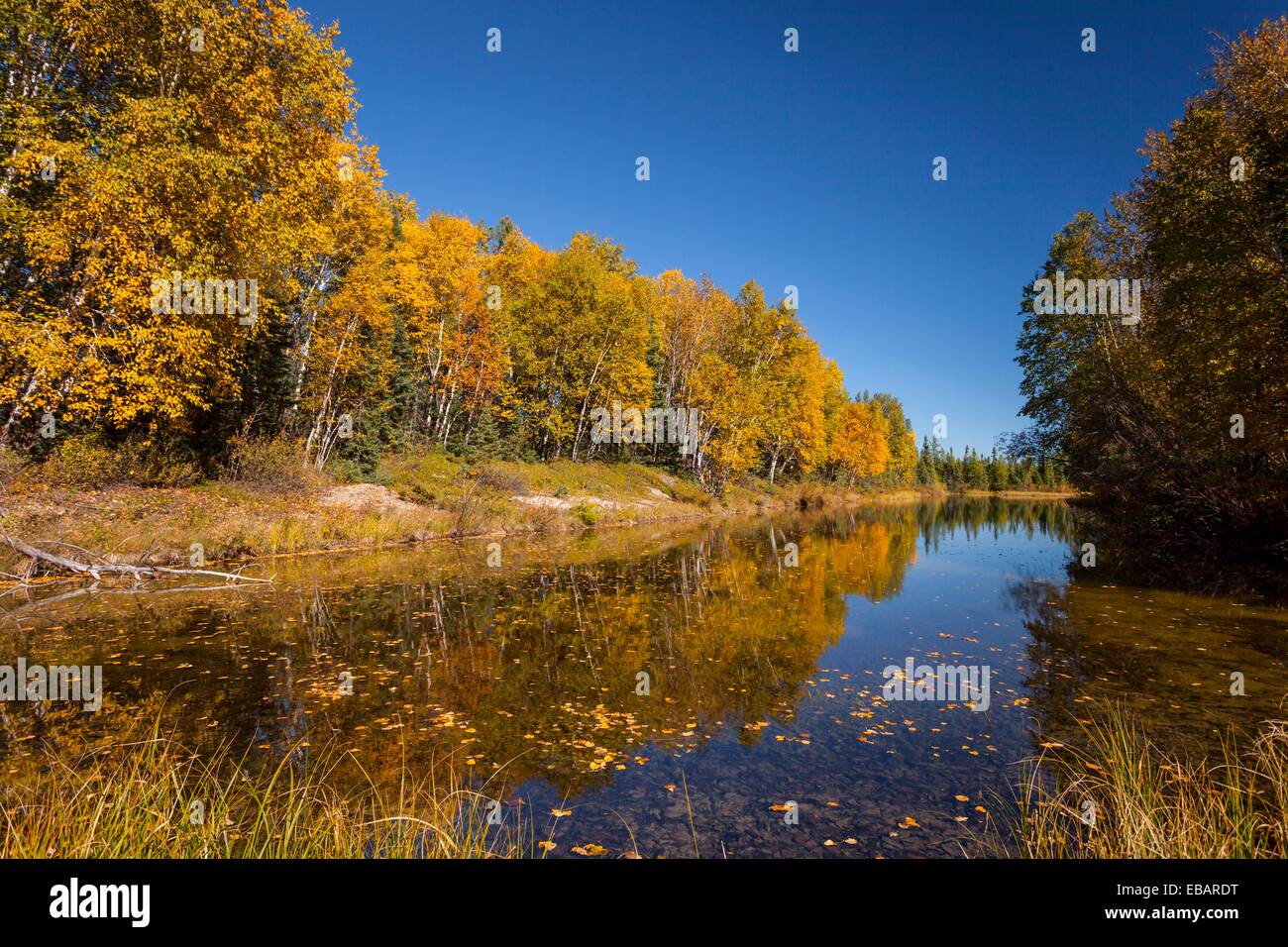 Fall foliage color and a small pond in rural northern Manitoba Canada ...