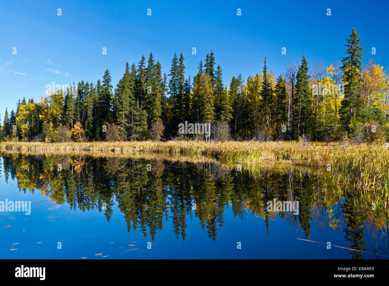 Northern Saskatchewan Landscape