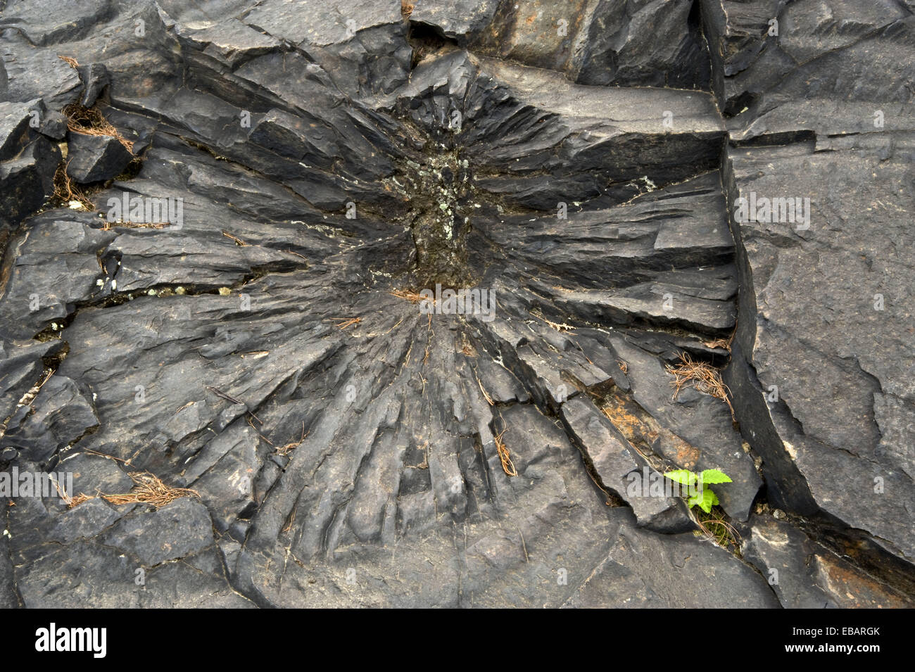 The Onaping River High Resolution Stock Photography and Images - Alamy