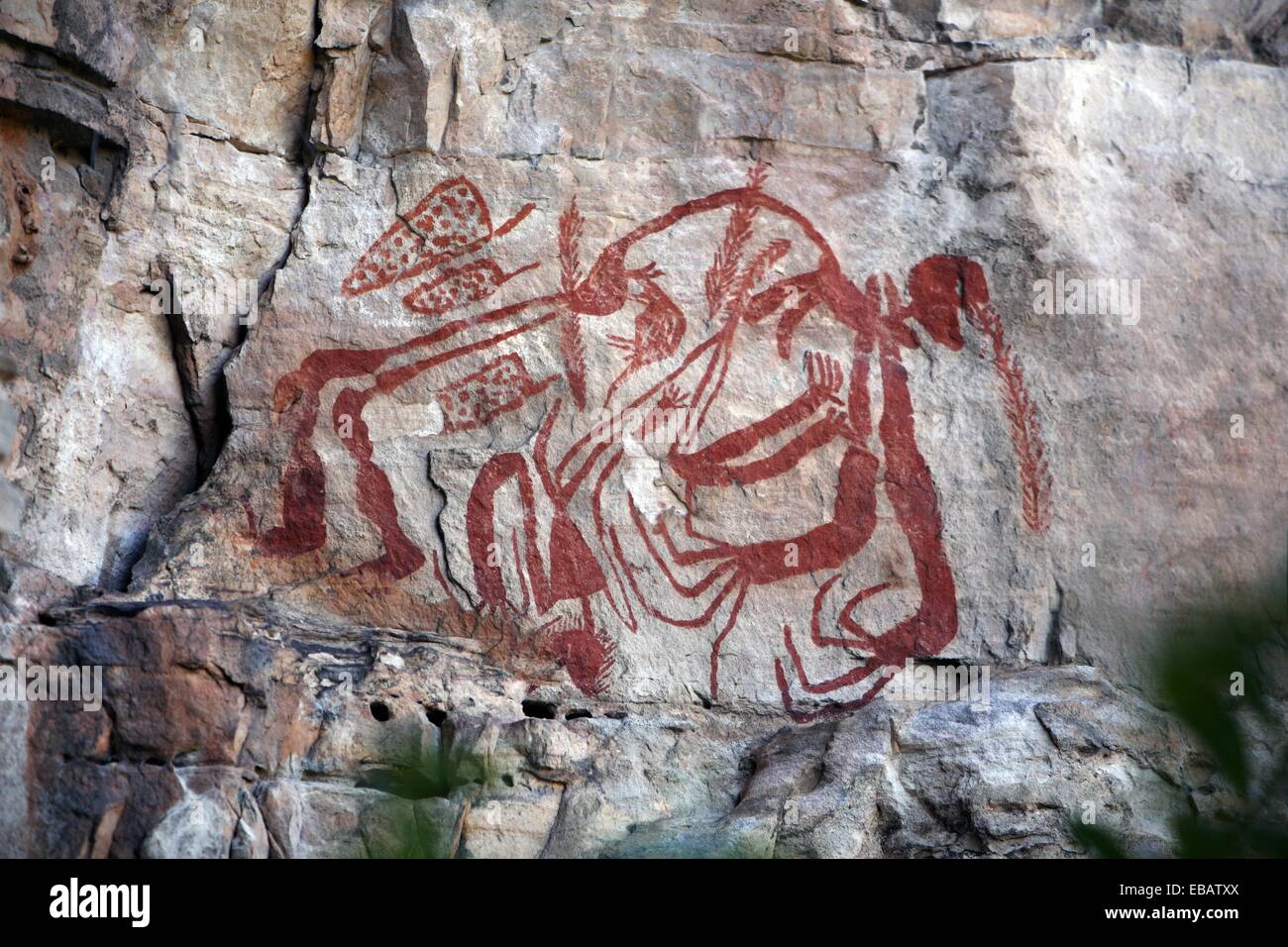 Aboriginal art rock animal High Resolution Stock Photography and Images - Alamy
