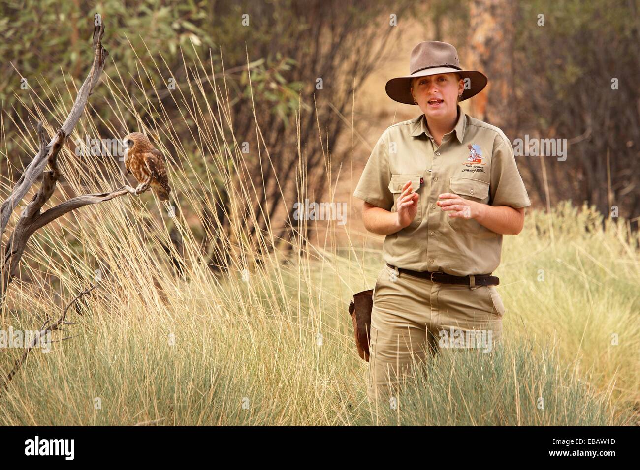 Guide alice hi-res stock photography and images - Alamy