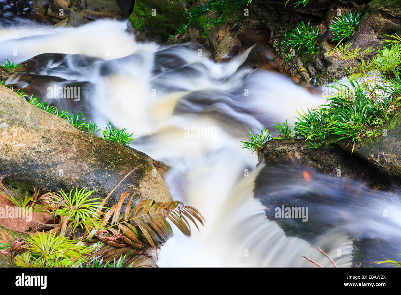 Split waterfall on creek hi-res stock photography and images - Alamy