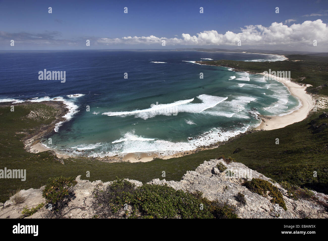 Conspicuous hi-res stock photography and images - Alamy