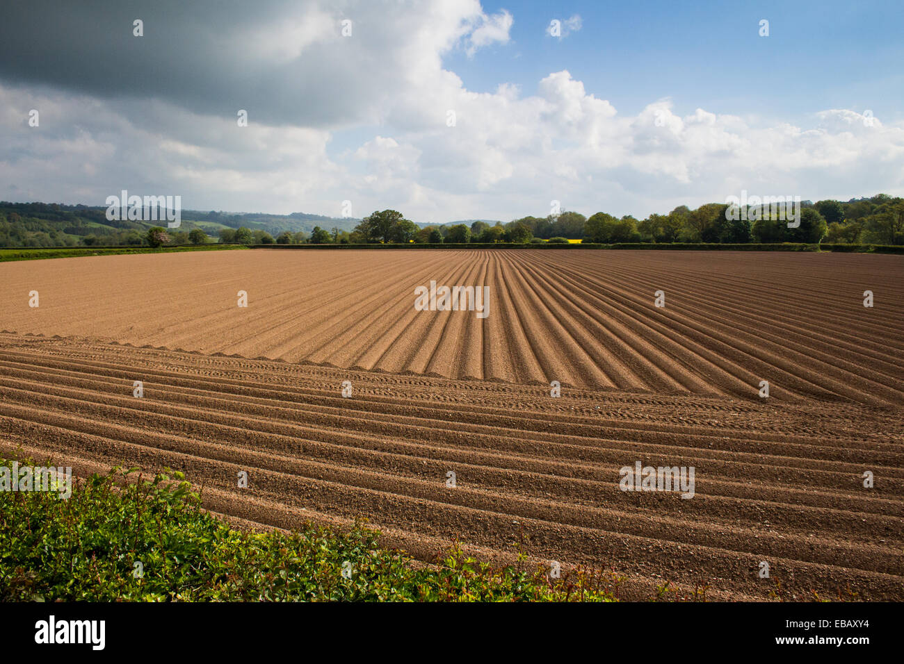 A strikingly patterned ploughed field Stock Photo - Alamy