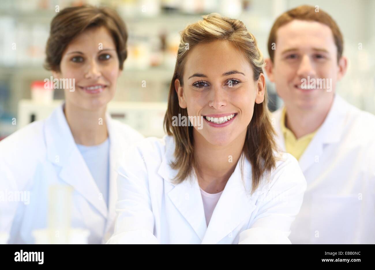 adult Basque Country biological brown hair center chestnut hair ...