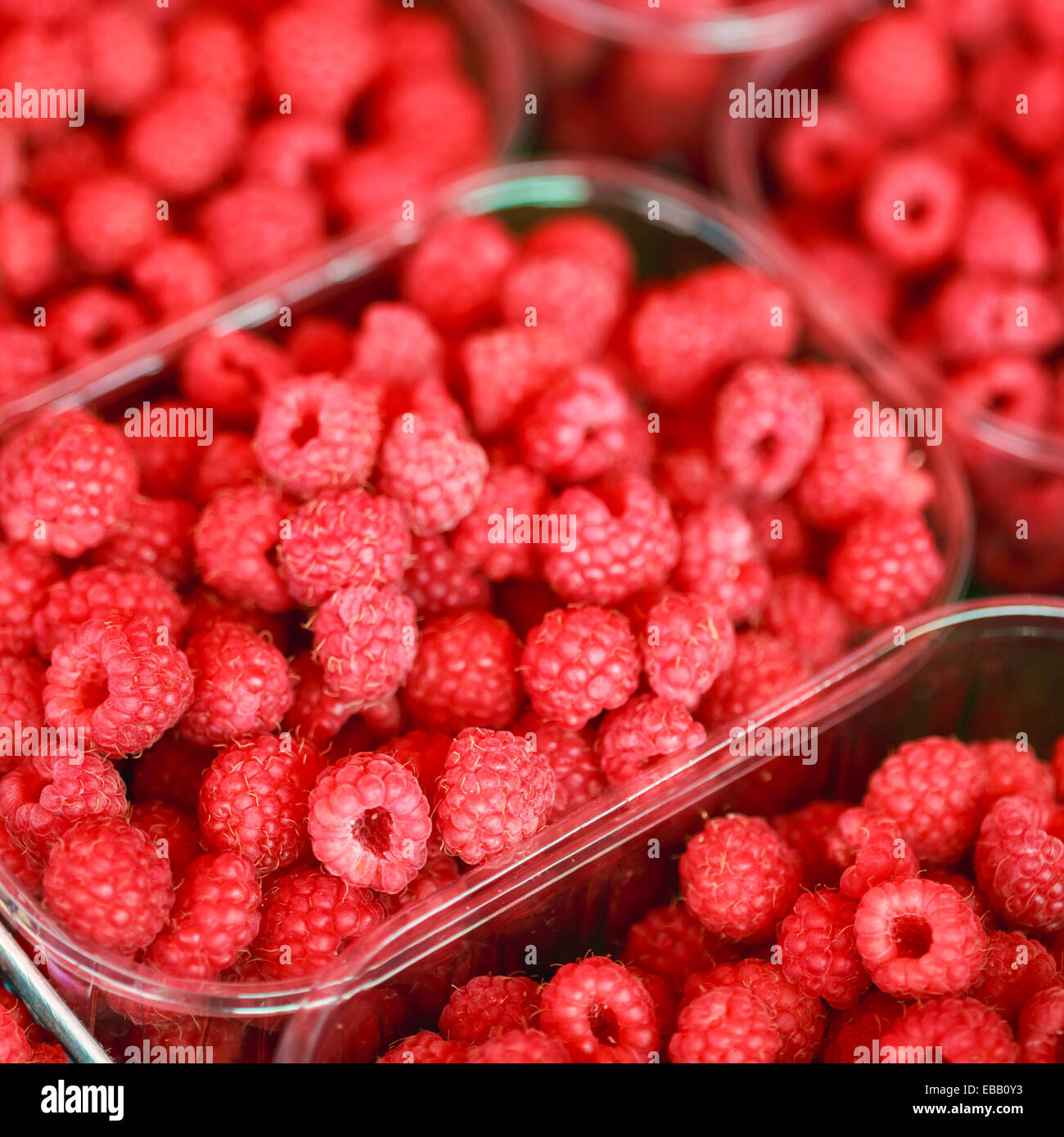 Assortment Of Fresh Organic Red Berries Raspberries At Produce Local ...