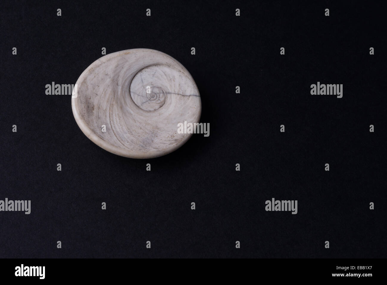 Very old fossil of a shell hi-res stock photography and images - Alamy