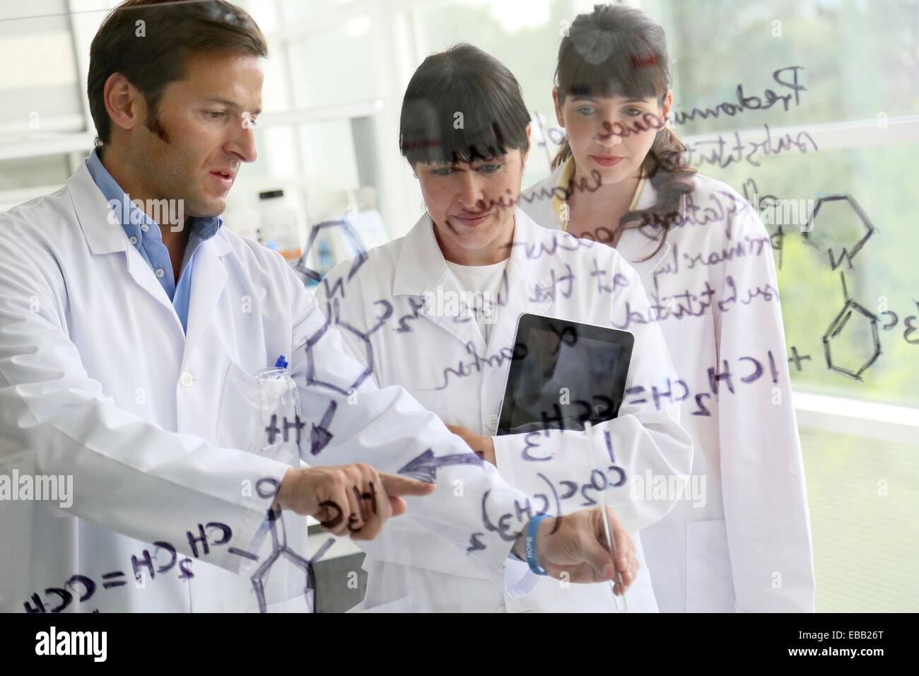 Shinthesis Lab, Research Laboratory, R&D+i, Design and synthesis of new ...