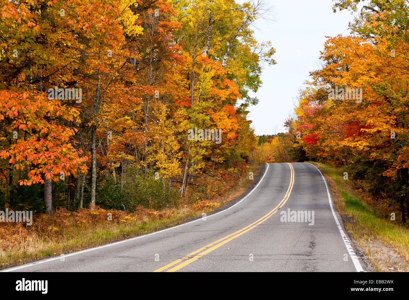 A road through the colorful deciduous forests of northern Minnesota in ...