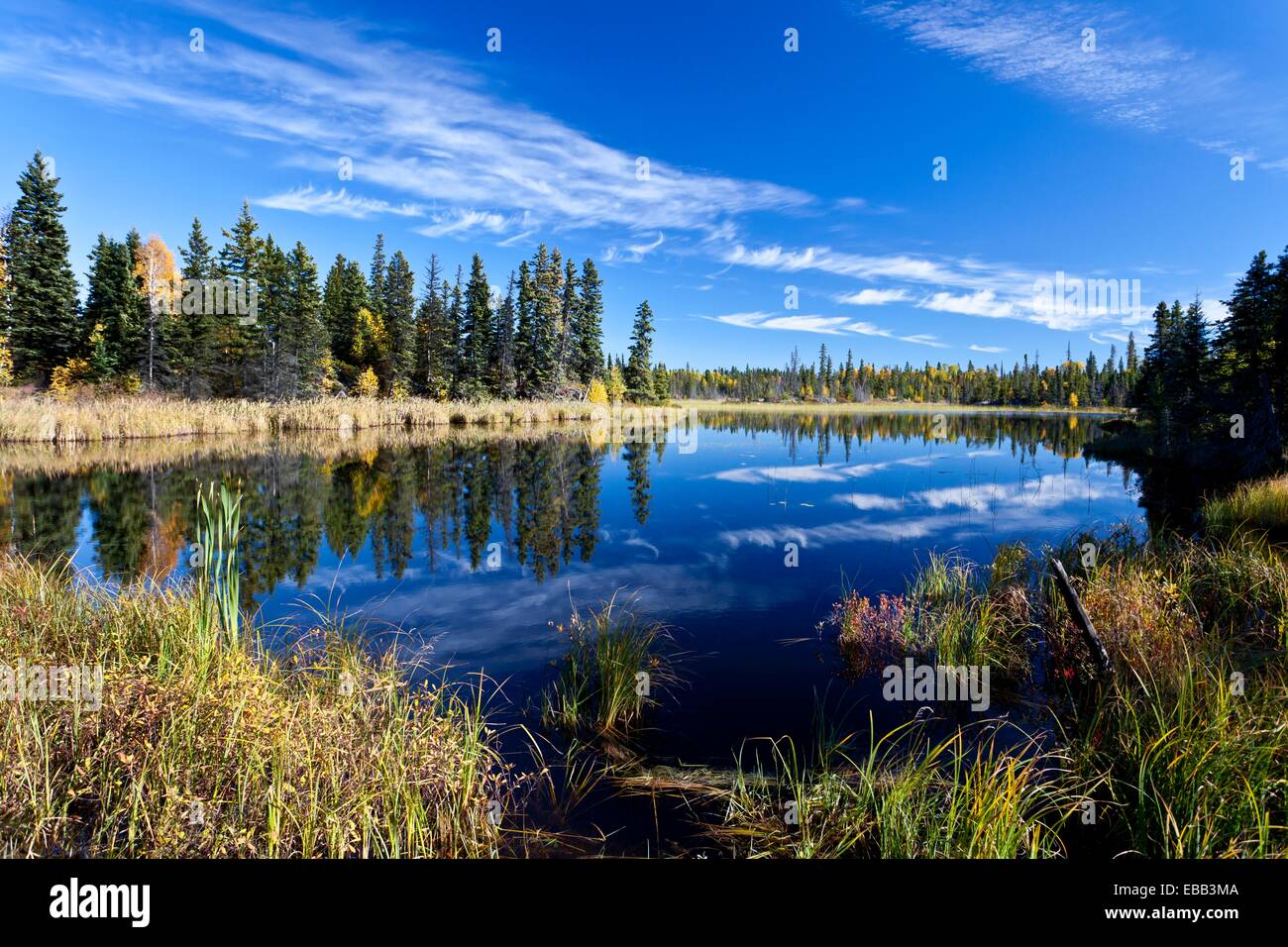 Creighton High Resolution Stock Photography and Images - Alamy