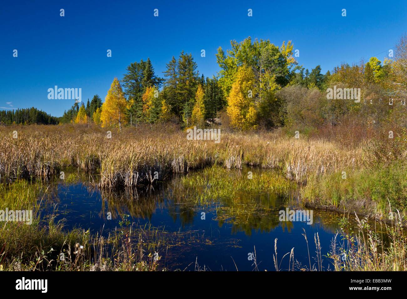 Creighton High Resolution Stock Photography and Images - Alamy