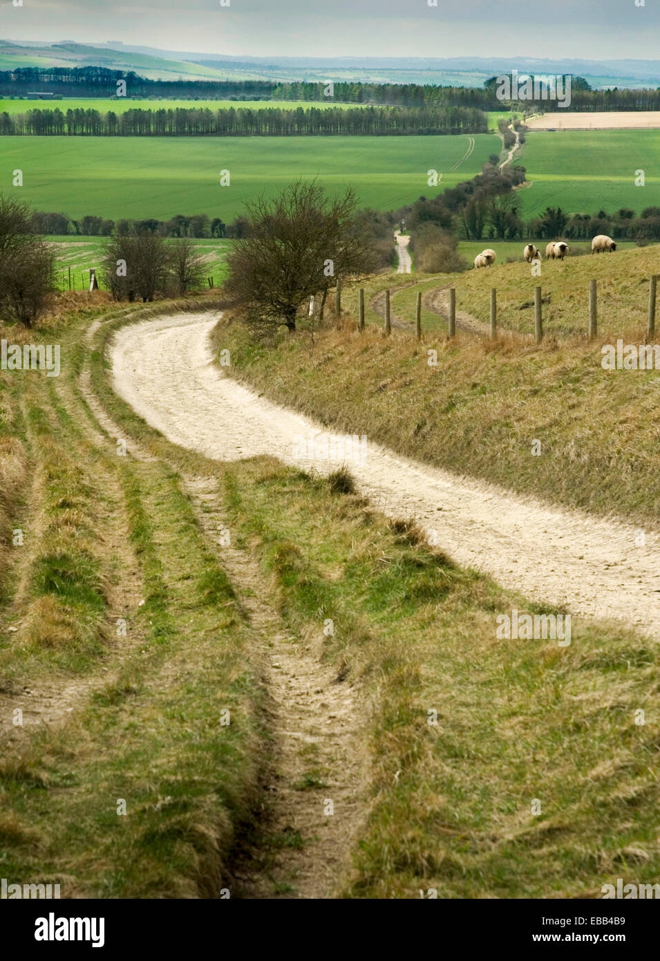 Ridgeway footpath at Uffington Wiltshire Stock Photo - Alamy