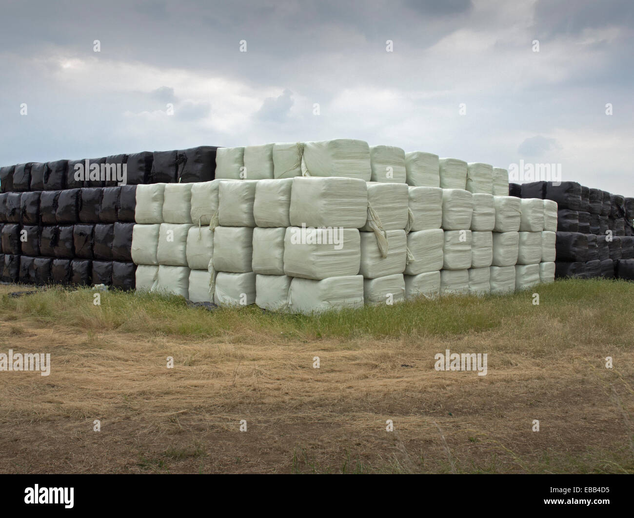 Plastic Wrapped Hay Bales High Resolution Stock Photography and Images ...