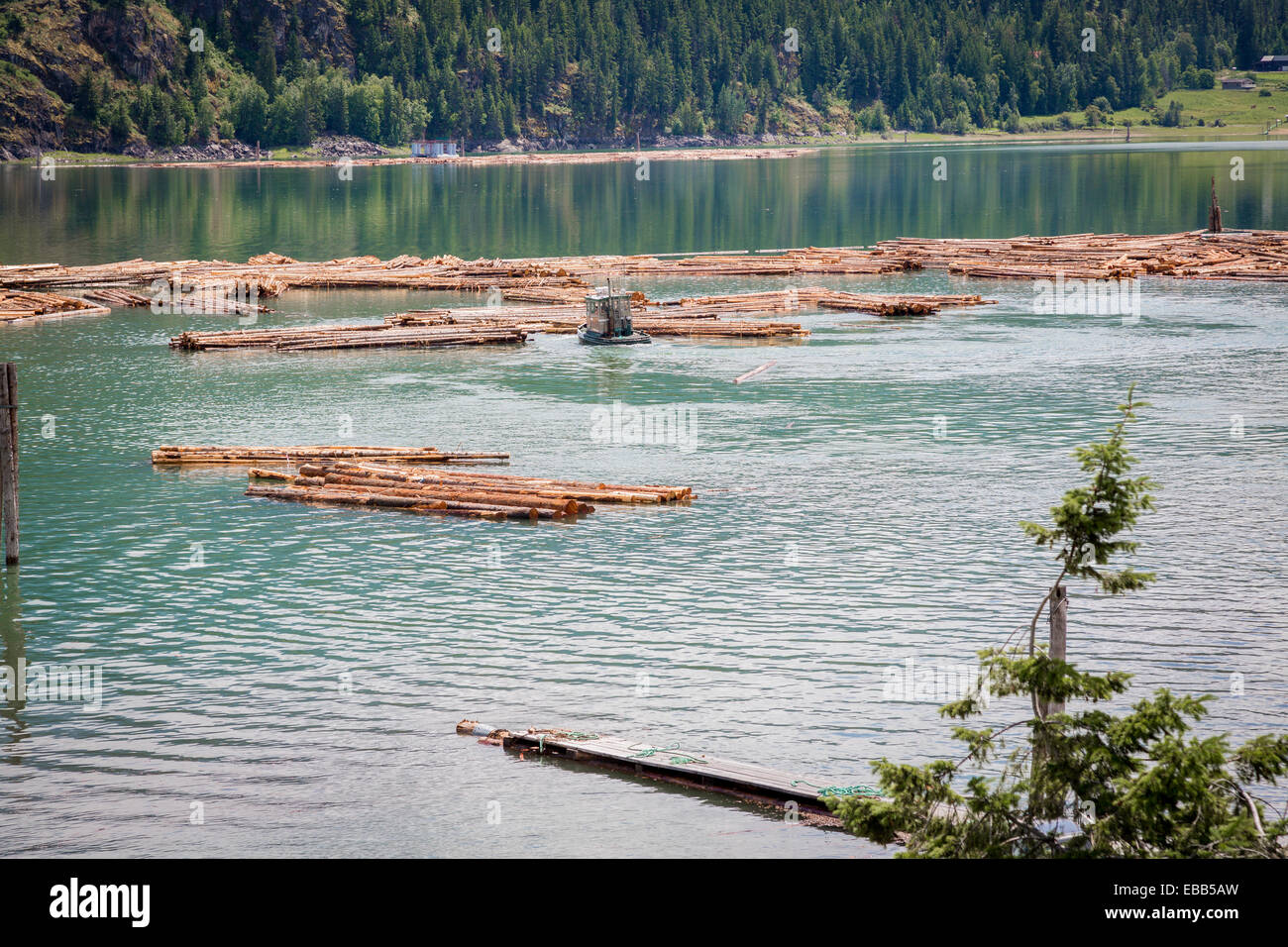 Logging on the Upper Arrow Lake, British Columbia, Canada, North ...