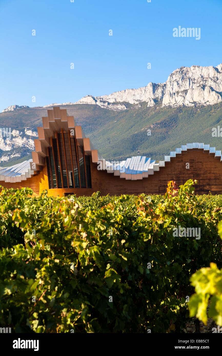 Bodegas Ysios Wine Cellar, Built By Santiago Calatrava,, 47% OFF