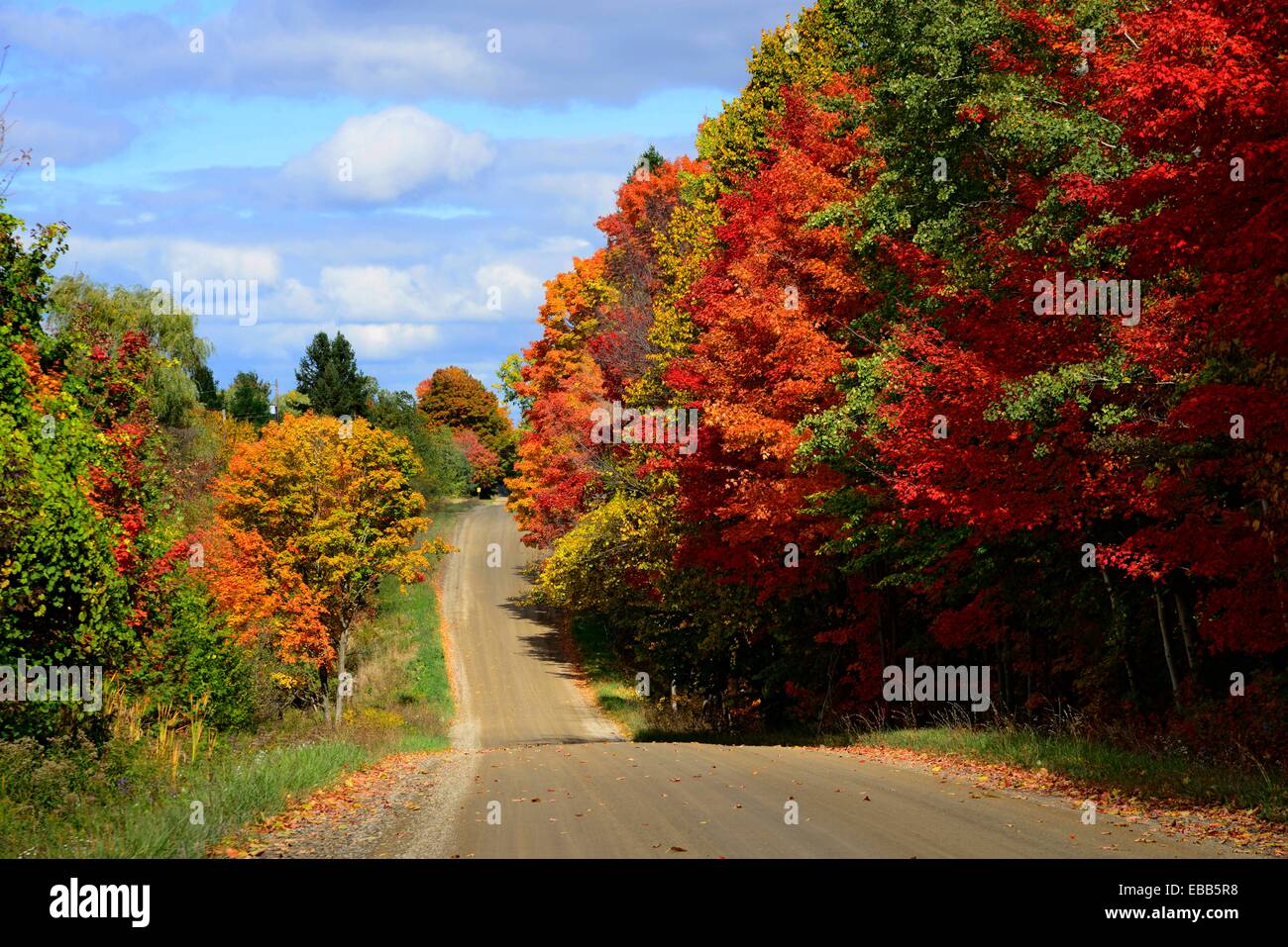 Country Road Indiana High Resolution Stock Photography and Images - Alamy