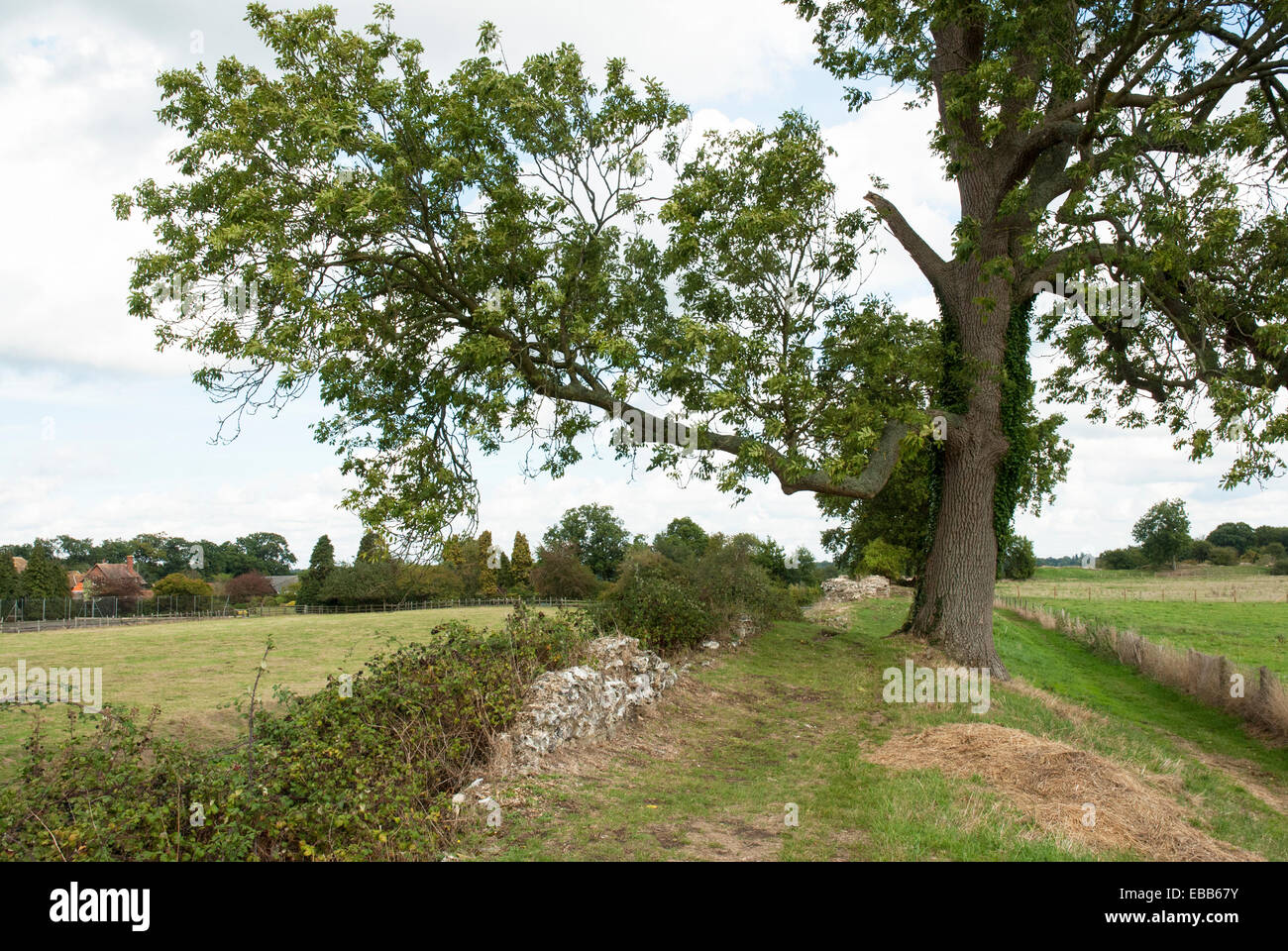 Silchester roman walls hi-res stock photography and images - Alamy