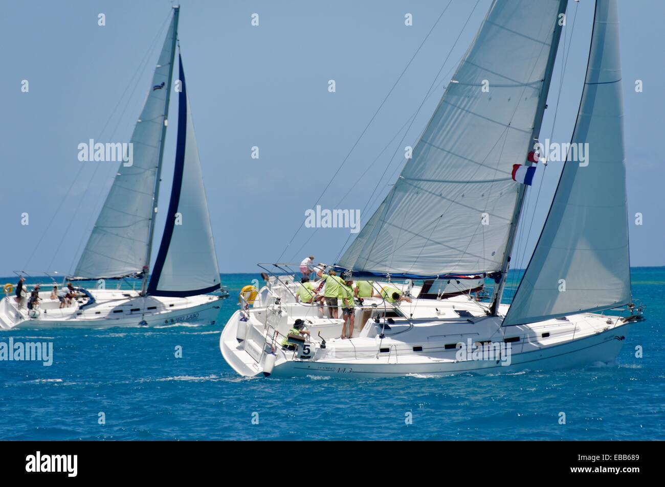 Sailboat regattas British Virgin Islands Stock Photo - Alamy