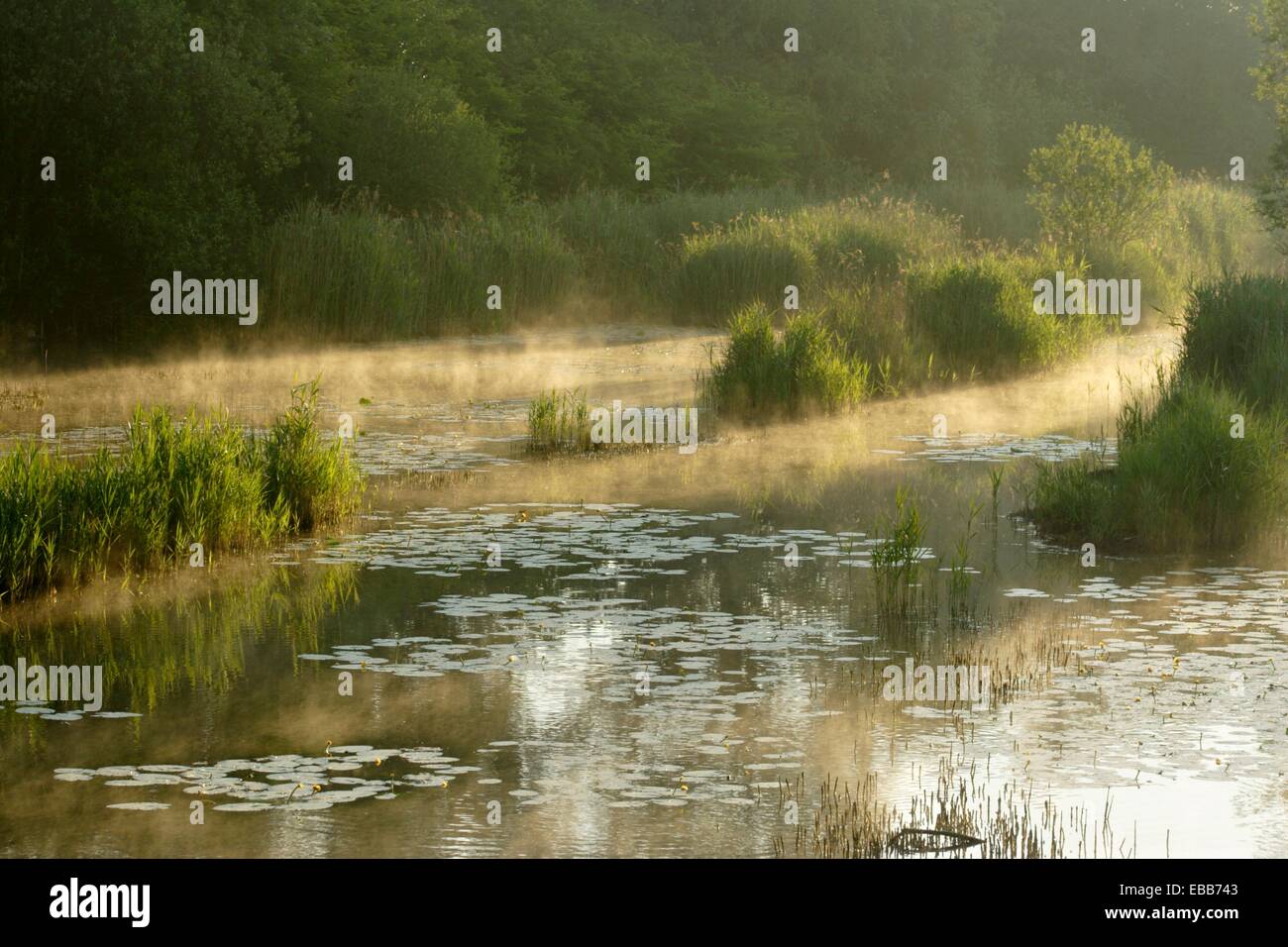 Manea fen hi-res stock photography and images - Alamy