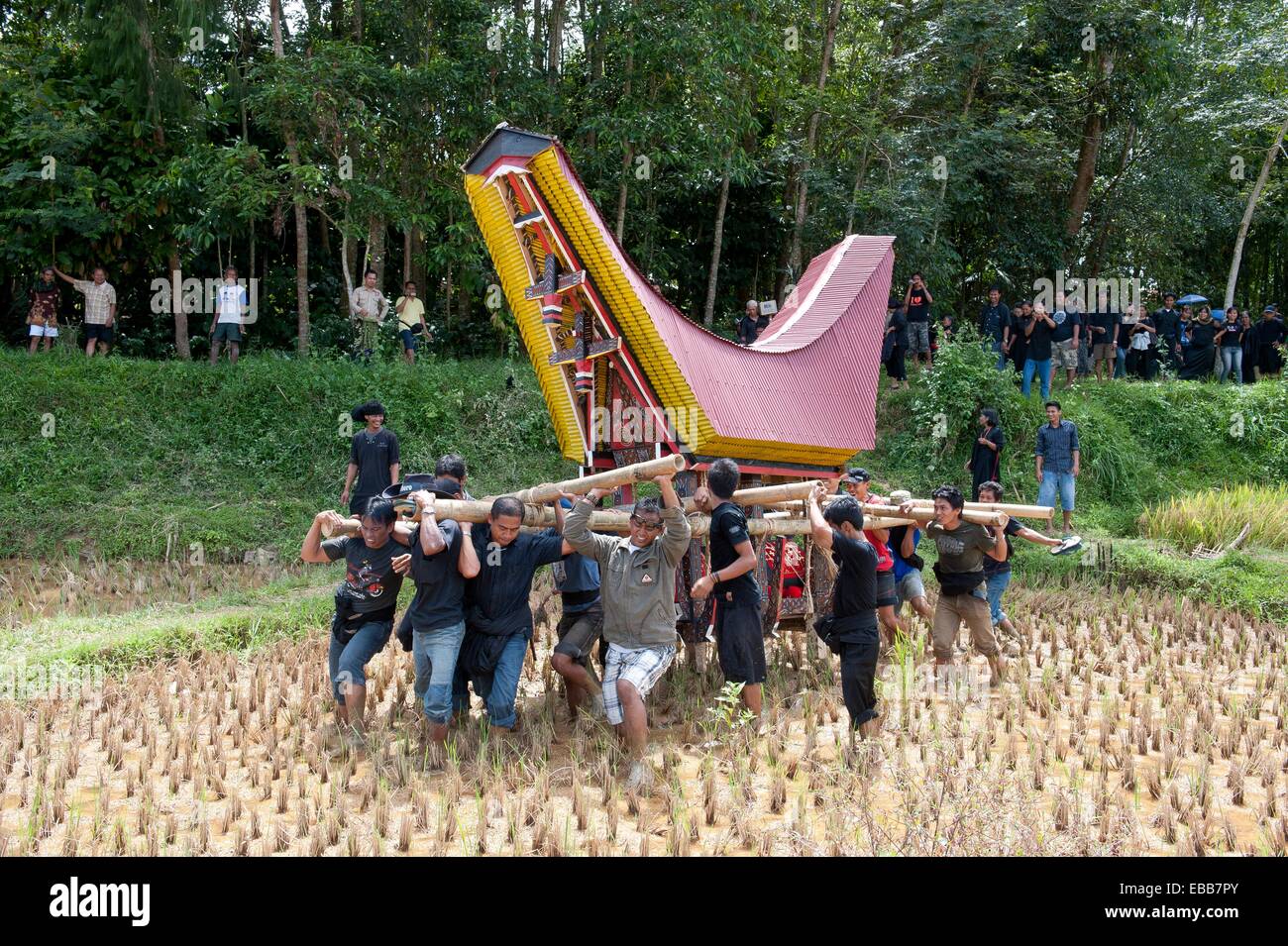 traditional funeral ceremony in Tana toraja sulawesi,indonesia Stock ...