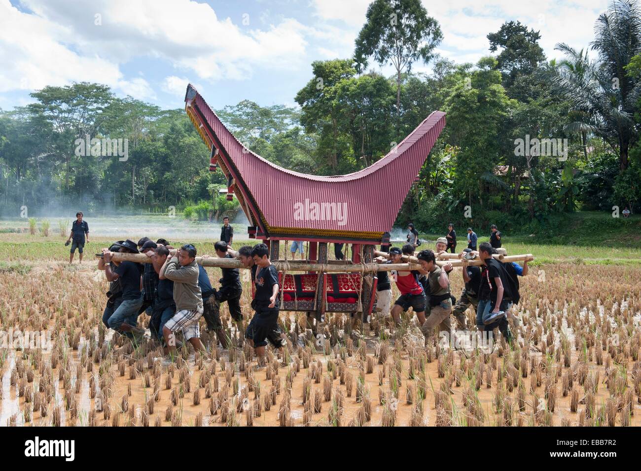traditional funeral ceremony in Tana toraja, sulawesi,indonesia Stock ...