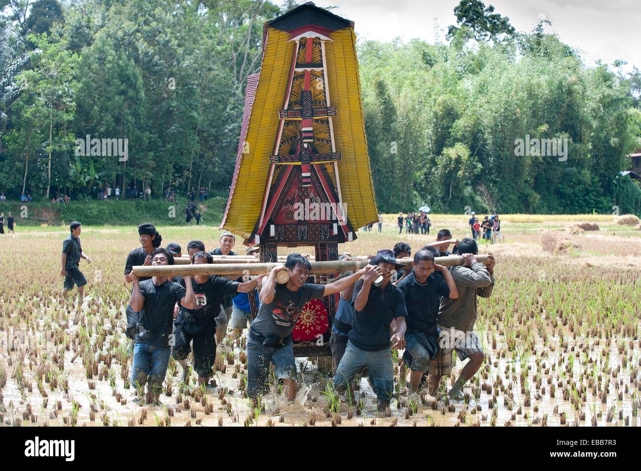 traditional funeral ceremony in Tana toraja, sulawesi,indonesia Stock ...