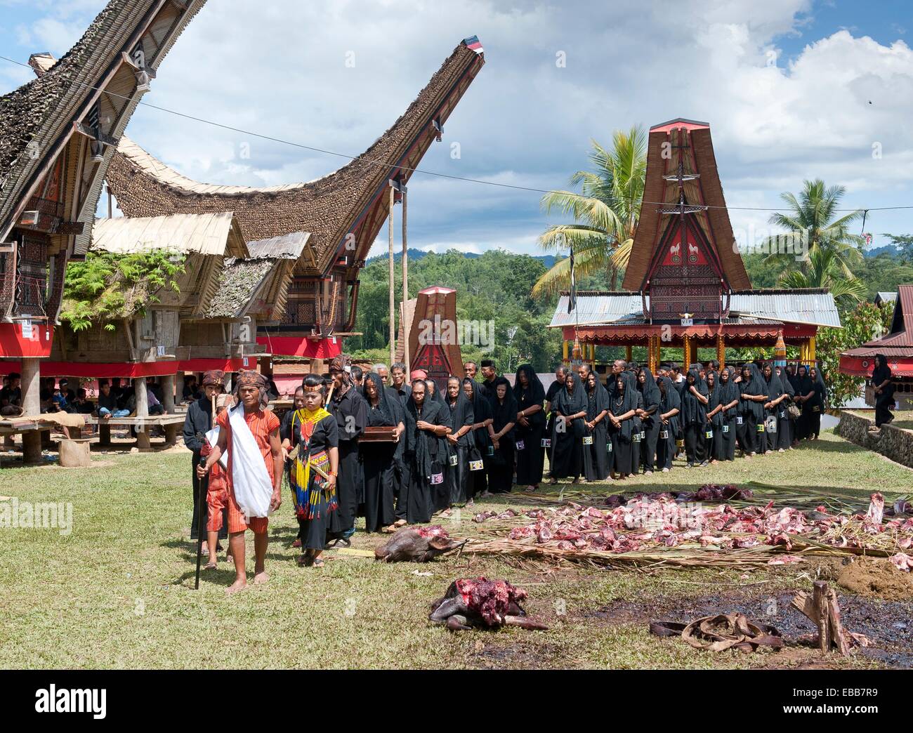 Death tradition celebes hi-res stock photography and images - Alamy