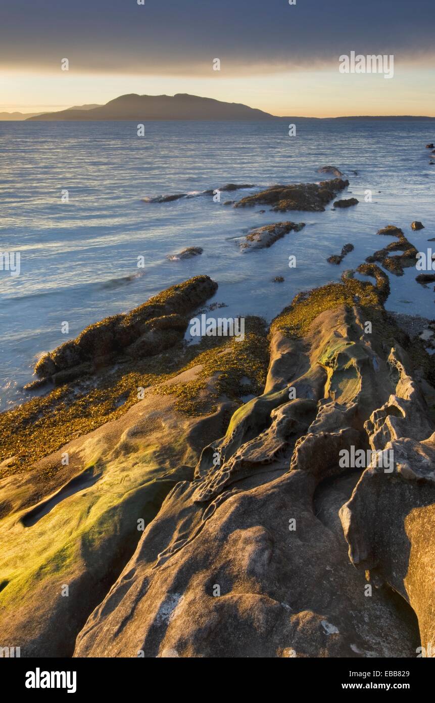 Larrabee beach hi-res stock photography and images - Alamy