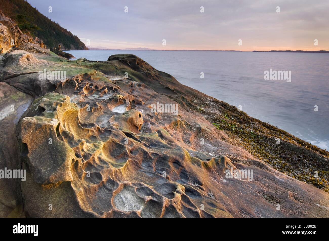 Larrabee beach hi-res stock photography and images - Alamy