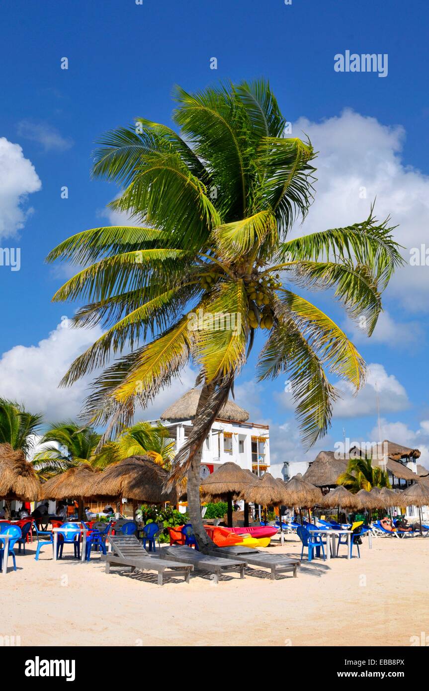 Visit costa maya hi-res stock photography and images - Alamy
