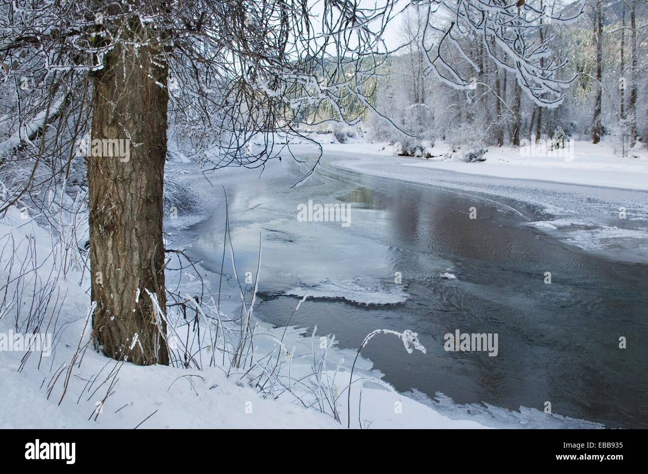Ice along the Birkenhead river near Pemberton, Coast Mountains British ...
