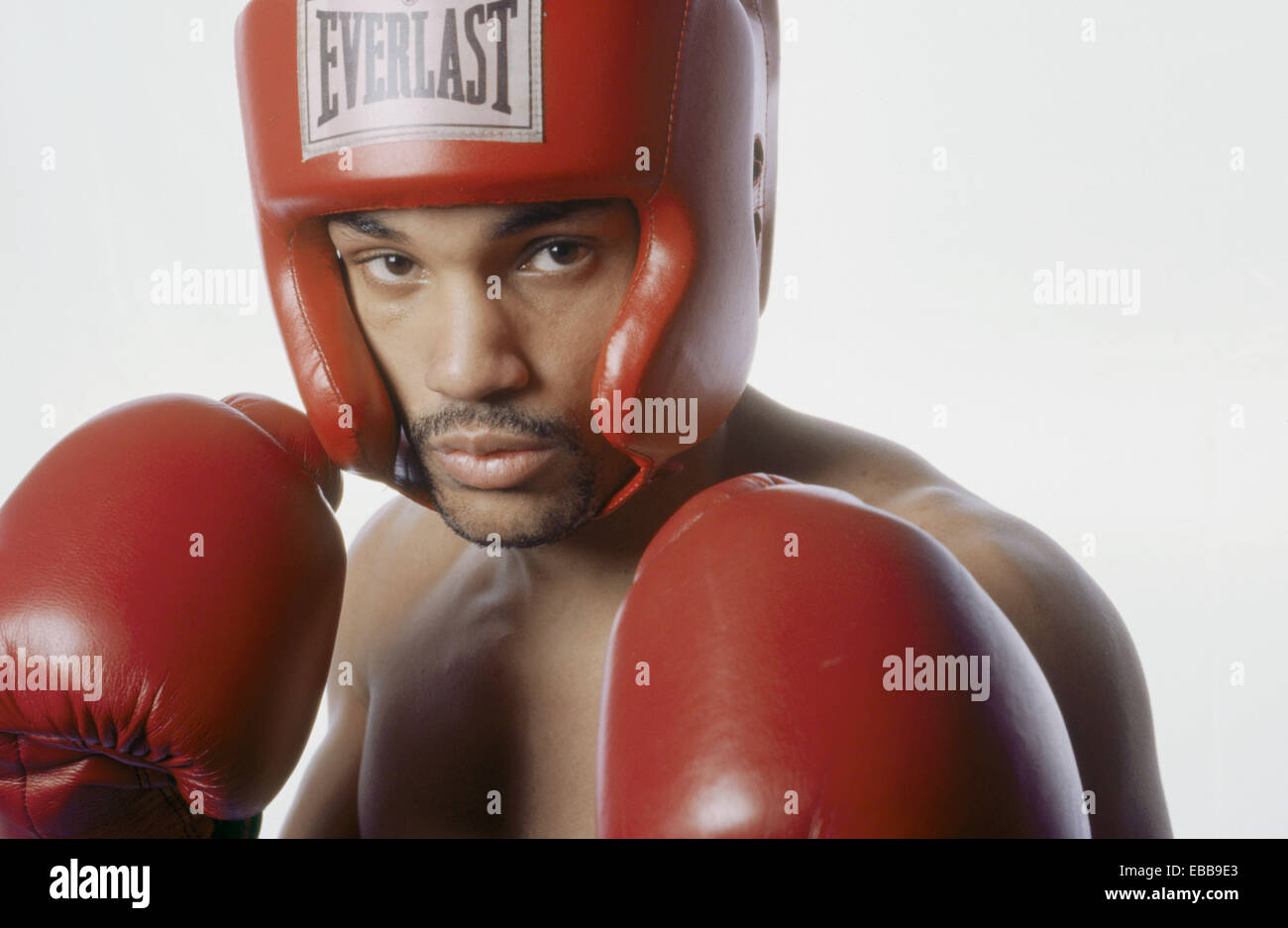 Portrait of boxer Stock Photo - Alamy