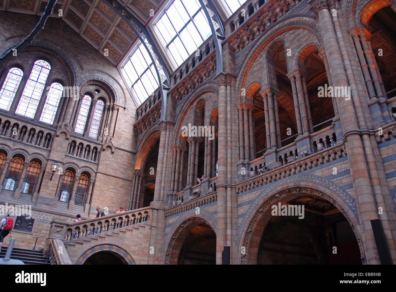 Natural history museum main hall stairs hi-res stock photography and ...