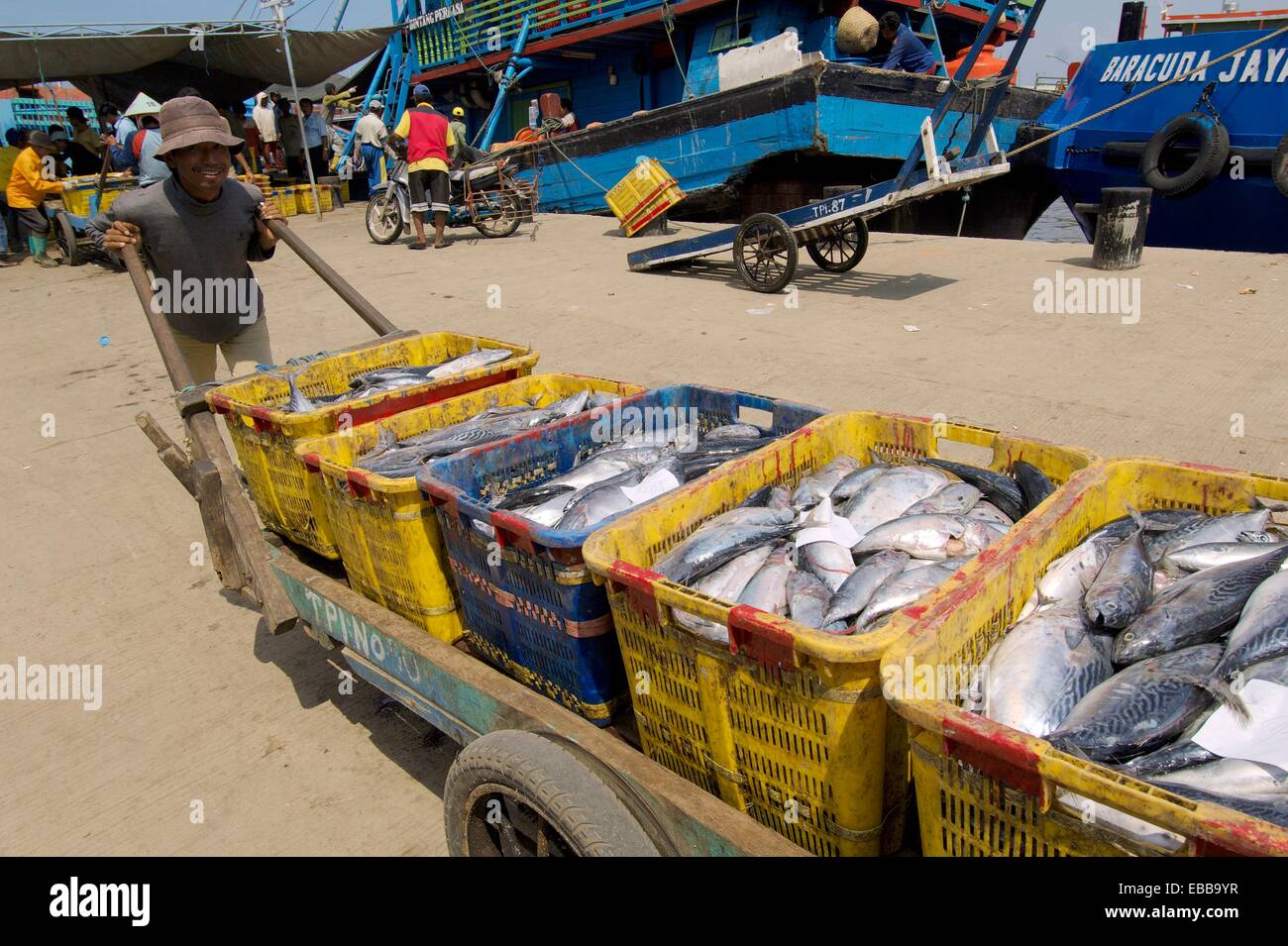 a worker move a cart loaded with fresh catched fish muara angke fish ...